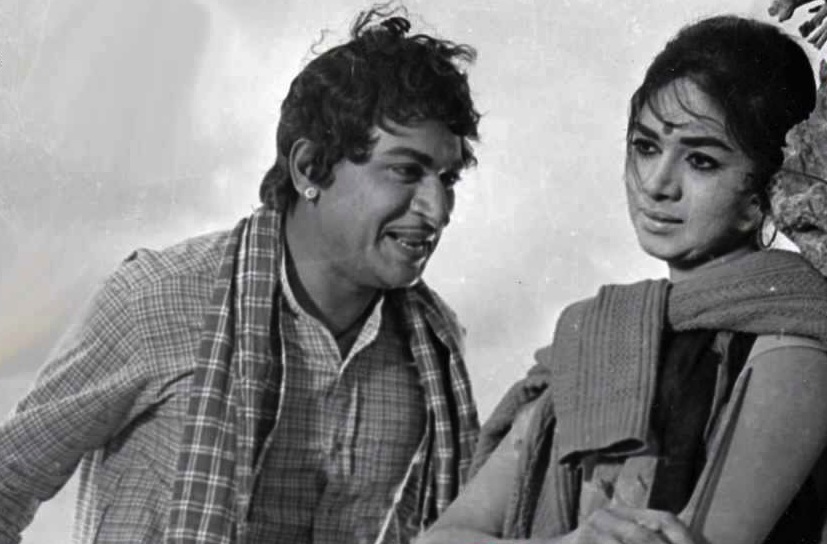 Naandi - Upperstall.com