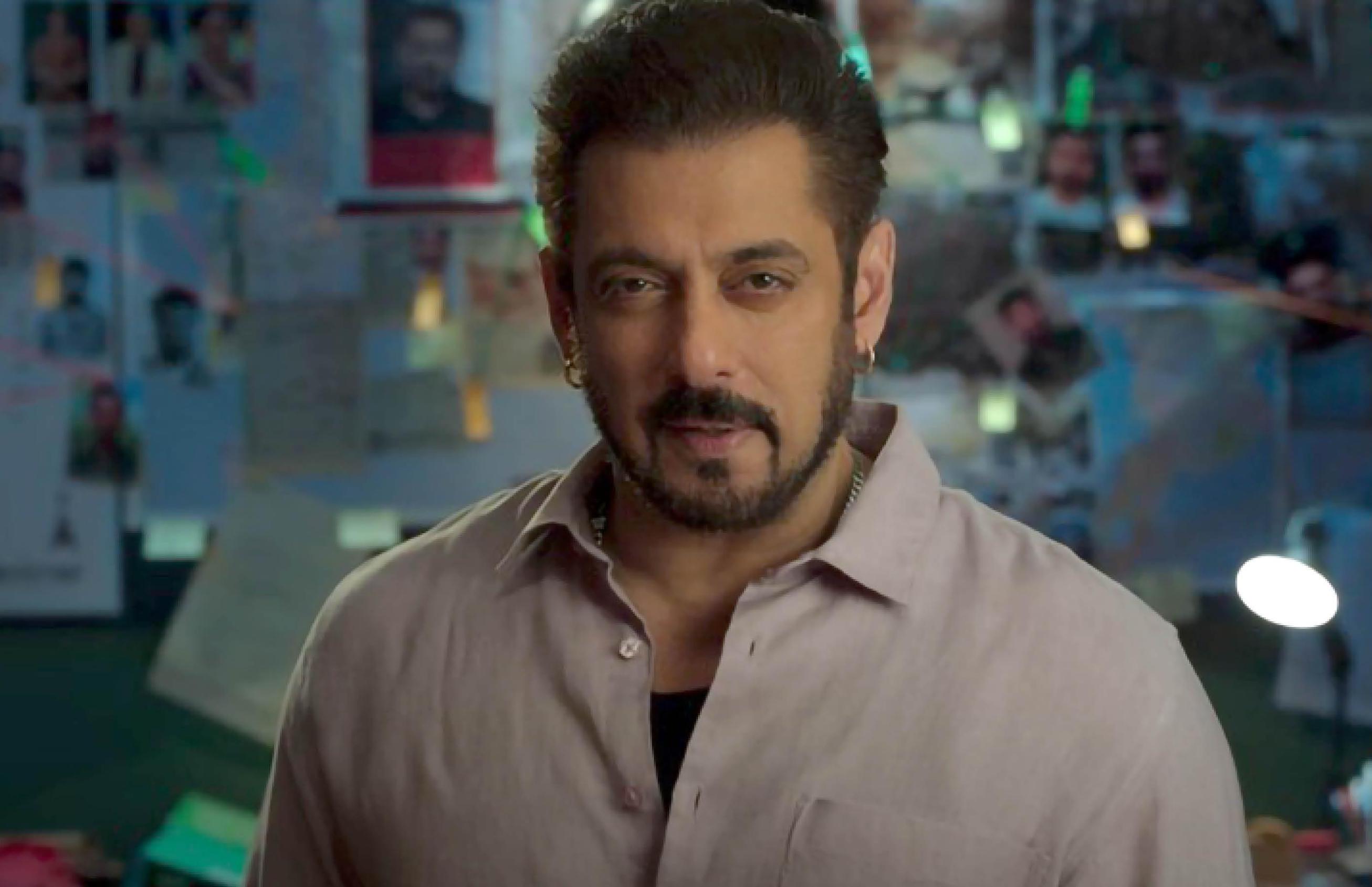 Sikandar - Upperstall.com